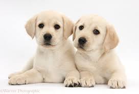 “baby everything”…